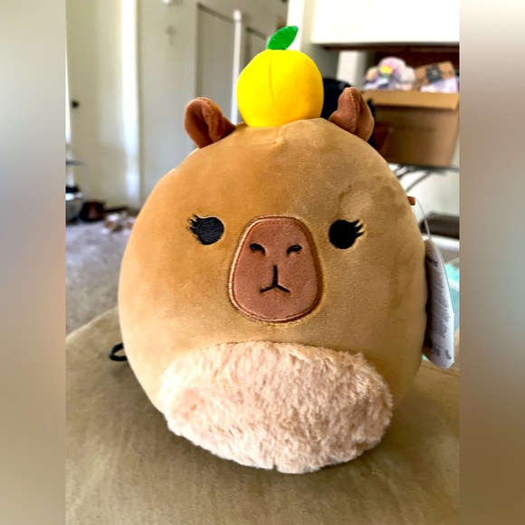 Squishmallows | Toys | Nwt Lijjian The Capybara Squishmallow | Poshmark